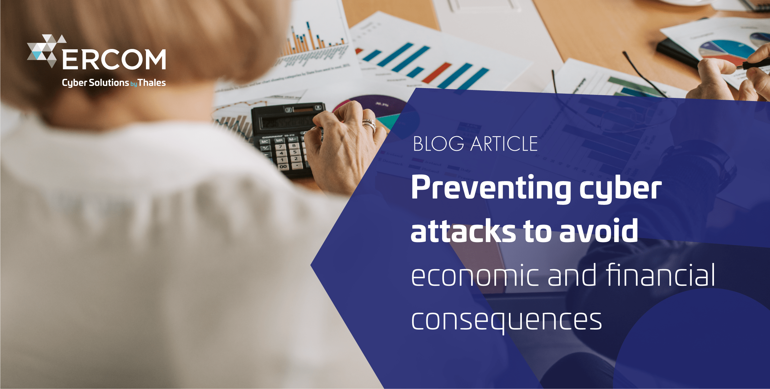 Preventing cyber attacks to avoid economic and financial consequences ...